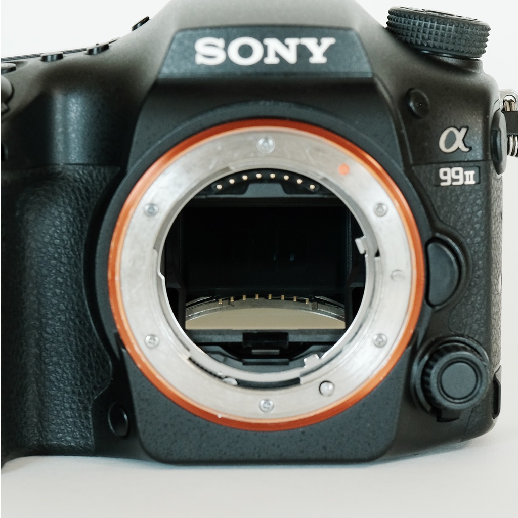 SONY α99II（ILCA-99M2）の出品 | ONE SCENE（ワンシーン）