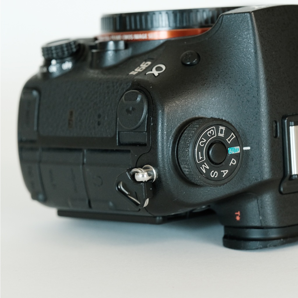 SONY α99II（ILCA-99M2）の出品 | ONE SCENE（ワンシーン）